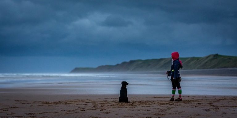 10 Tips to Take Your Pet Photography to the Next Level