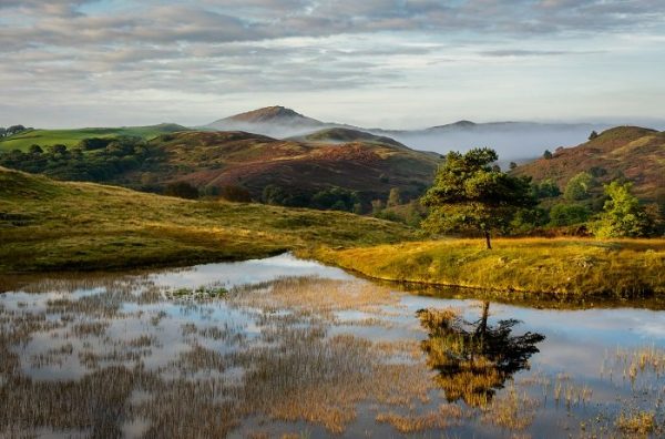 8 Quick Tips to Transform your Landscape Photography