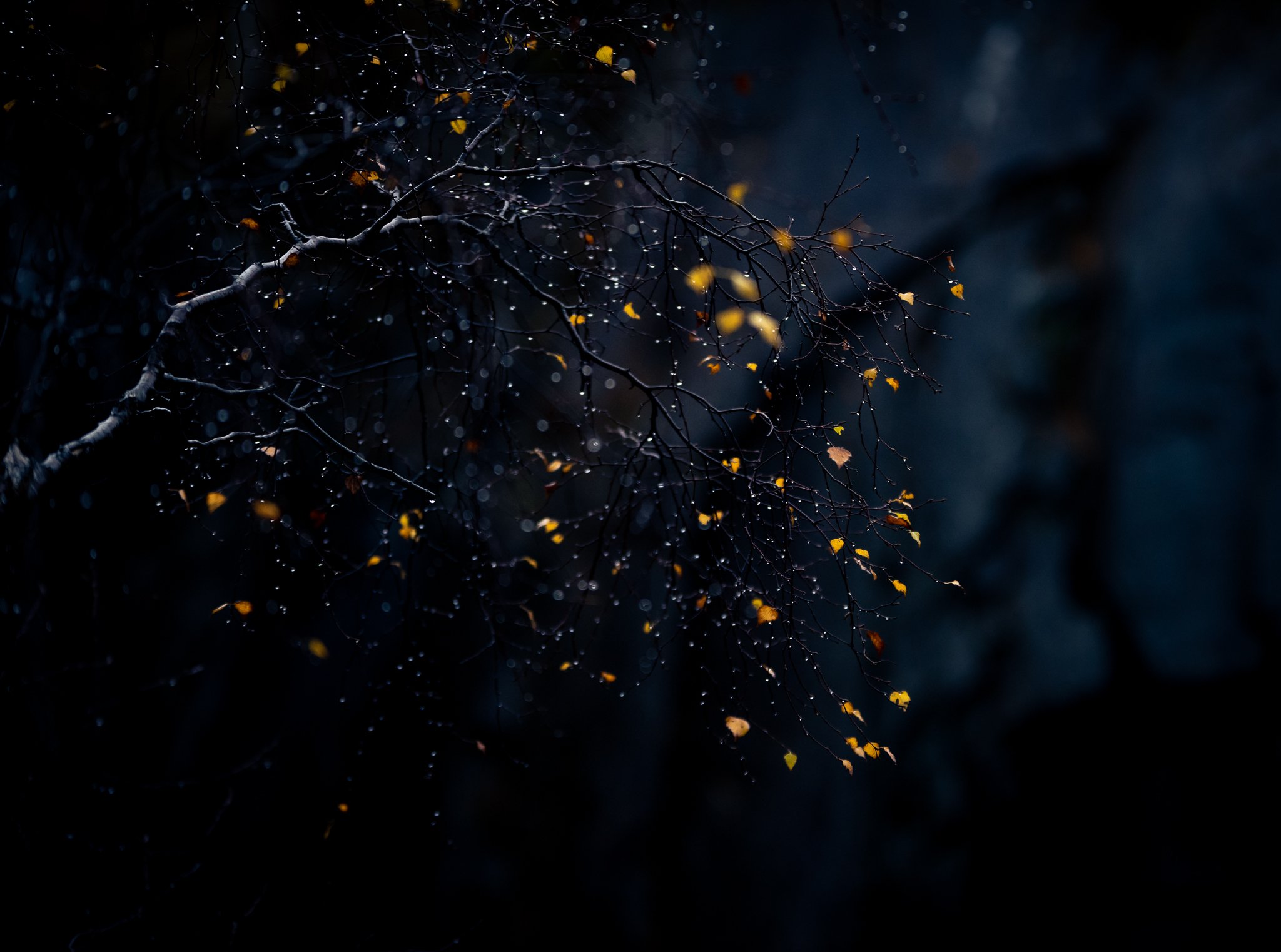 Ultimate Guide to Autumn / Fall Photography